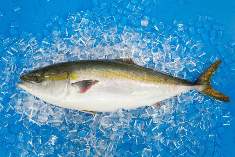 OUR PRODUCT – SHOKU EN – Japanese Buri