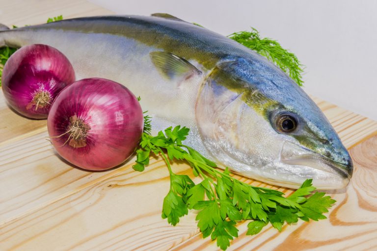 WHAT IS BURI? – SHOKU EN – Japanese Buri